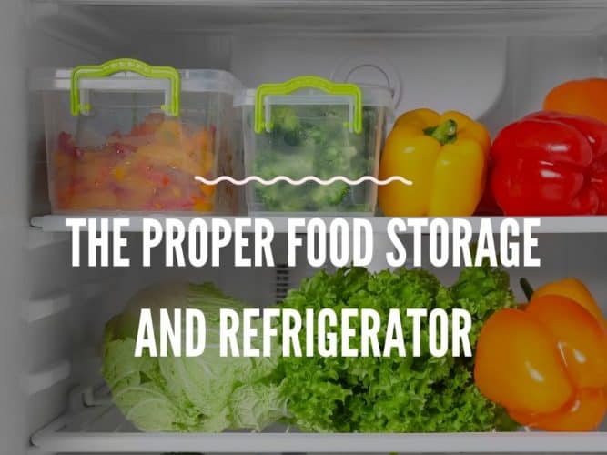 Why Is Proper Food Storage and Refrigeration Very Important – Delight Jar